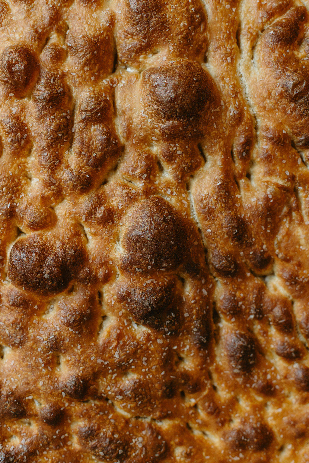 Bread & Pastries in Lancaster, PA | Neighborhood Bakery in Lancaster ...